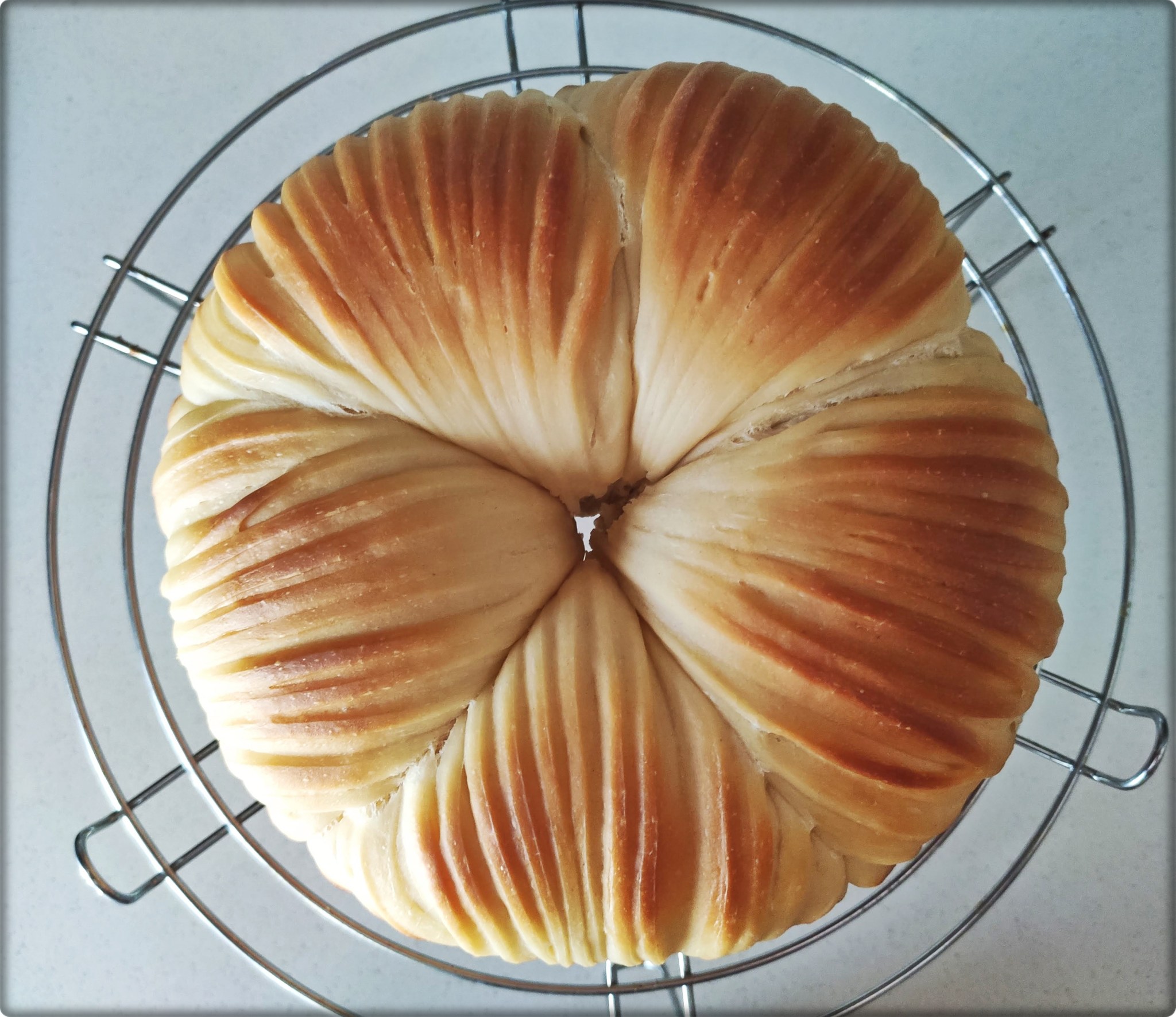 Pan rollo de lana « Un segundo mas tarde